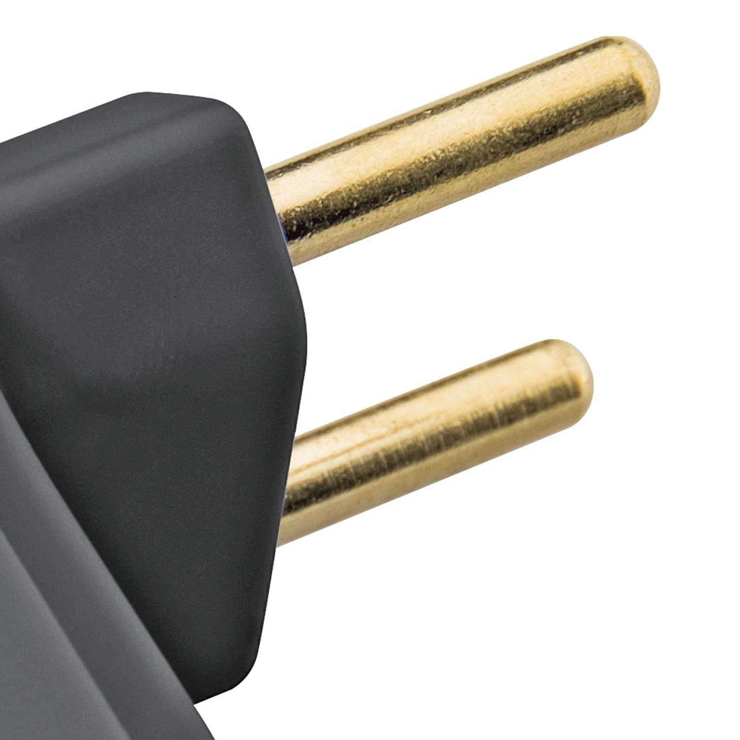 PLUG MACHO ANGULAR 10A 2P PT