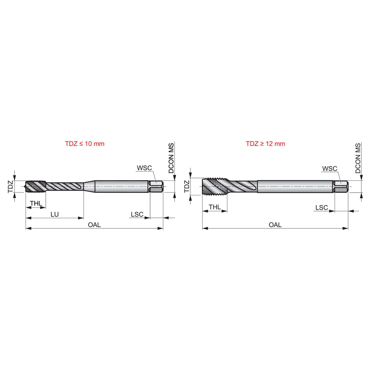 MACHO MAQUINA EX 00 - 5,0 - 0,80 DIN 371 SPECTRUM